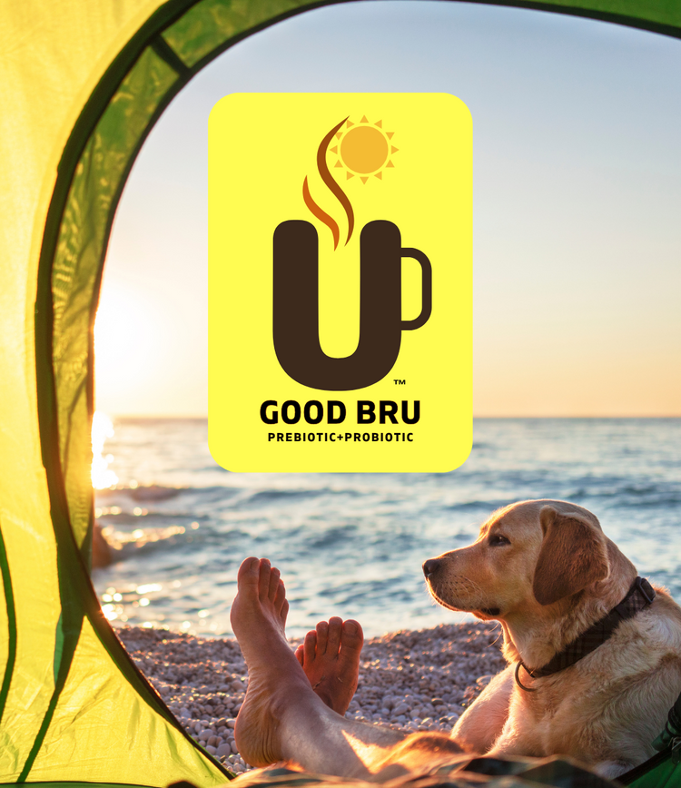 GOOD BRU organic prebiotic + probiotic synbiotic that works in coffee ...